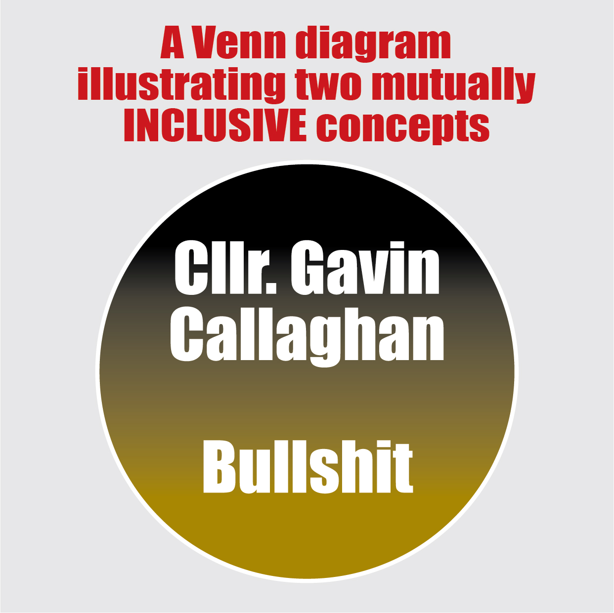 Cllr. Gavin Callaghan – the master of bullshit!
